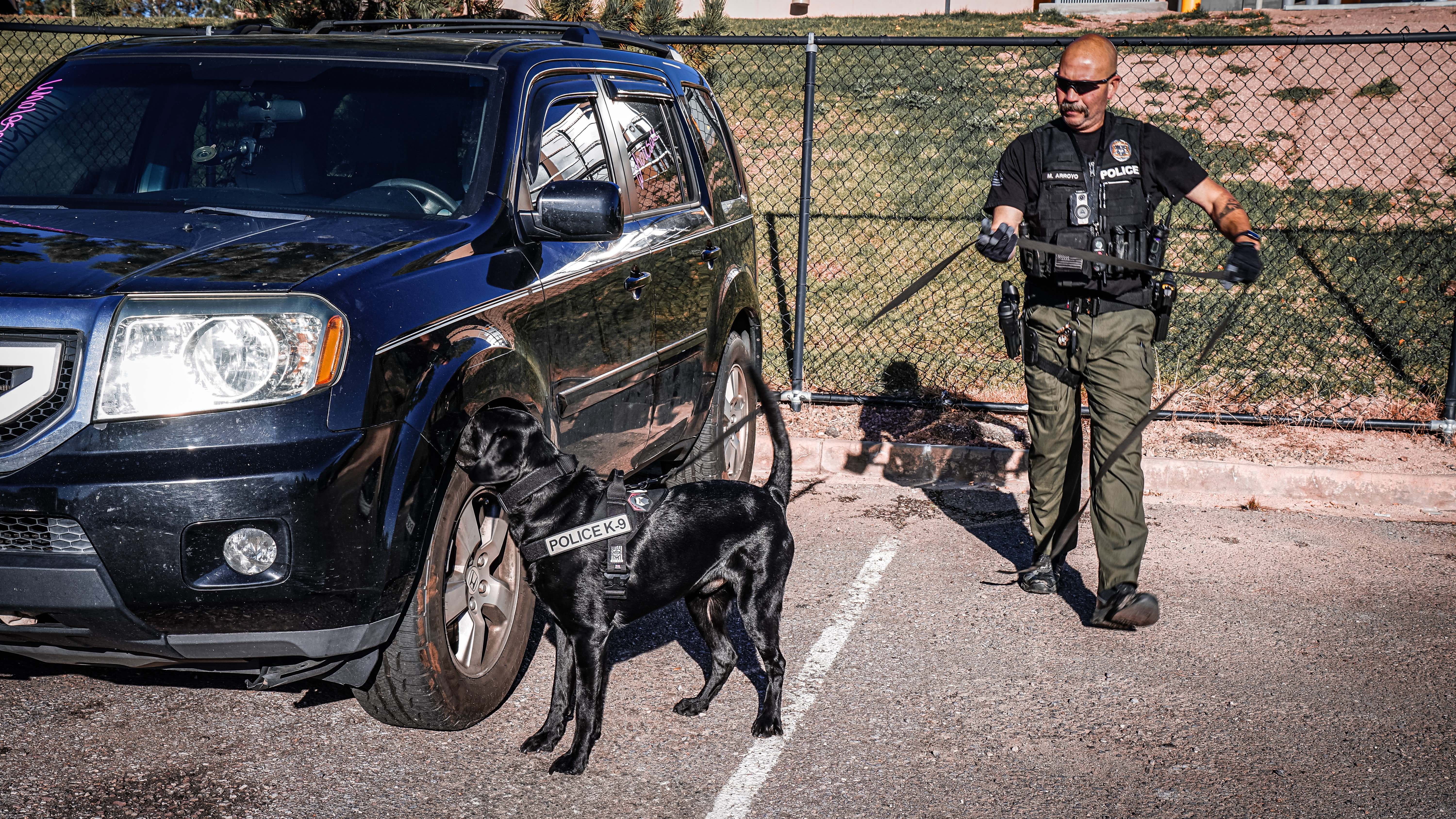 RTD adds two K-9 units to its Transit Police to enhance safety efforts ...