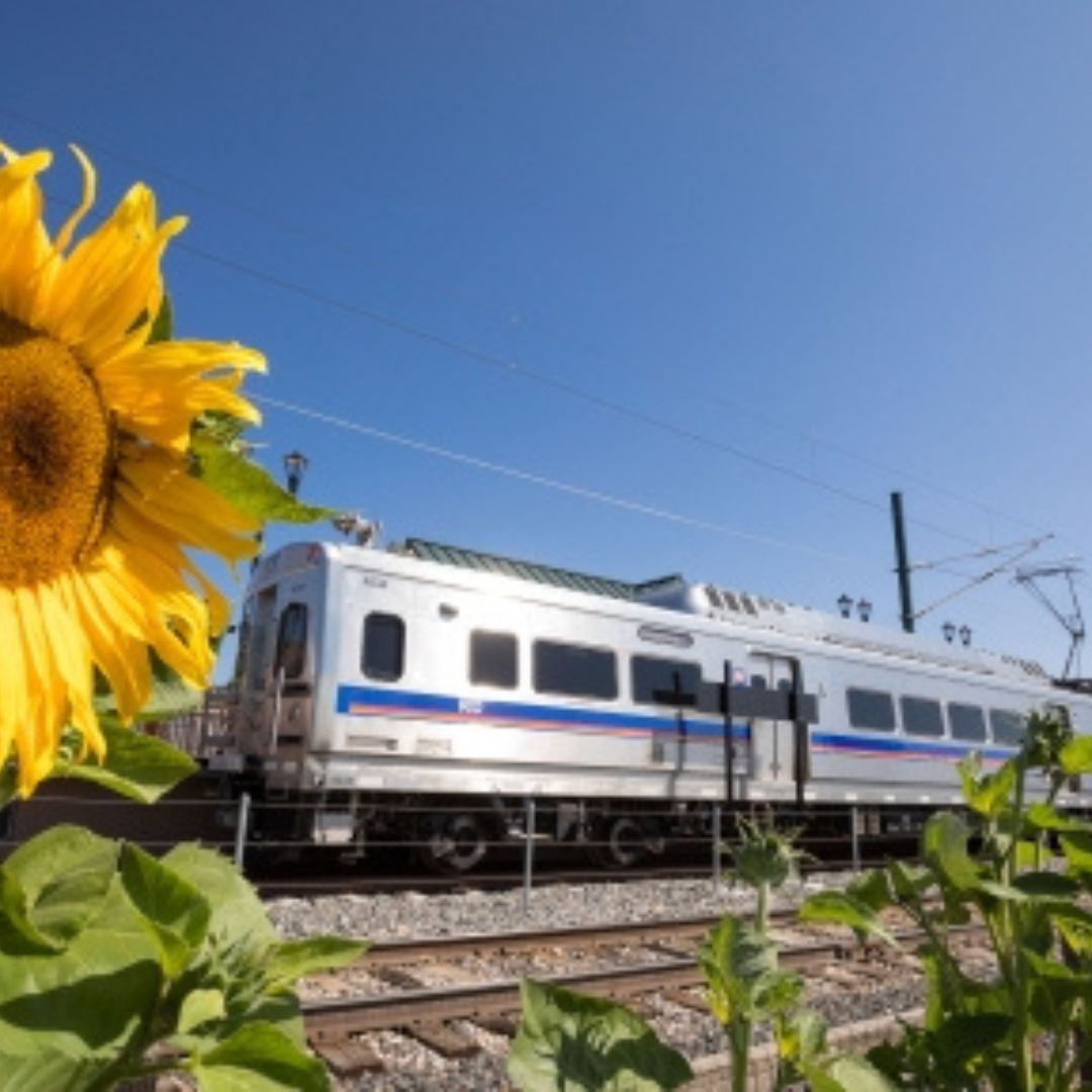 RTD to temporarily suspend a portion of G Line service during emergency ...